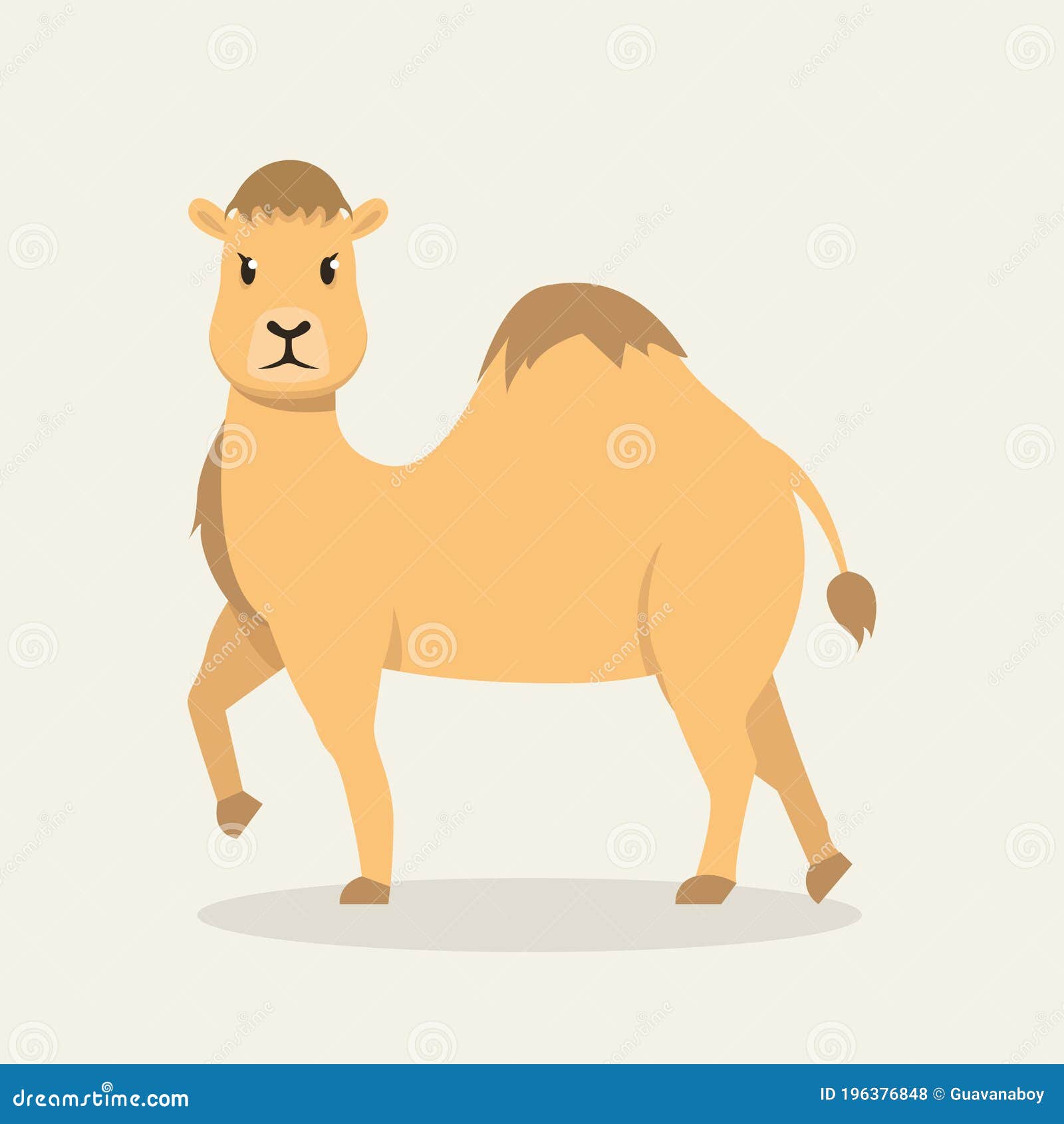Angry Looking Camel Mascot Design Stock Vector - Illustration of camel ...