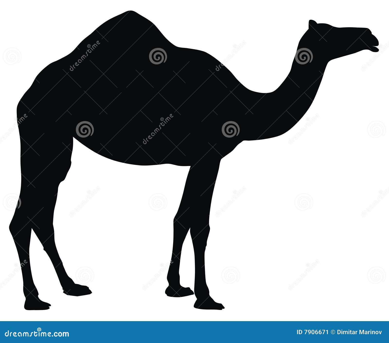 Camel Vector Illustration | CartoonDealer.com #17098980