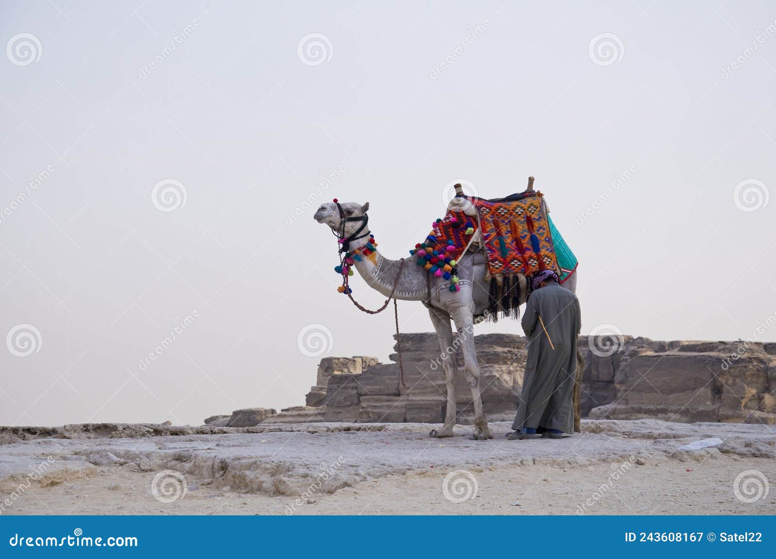 A Camel with an African Nomad Man. Editorial Photography - Image of ...