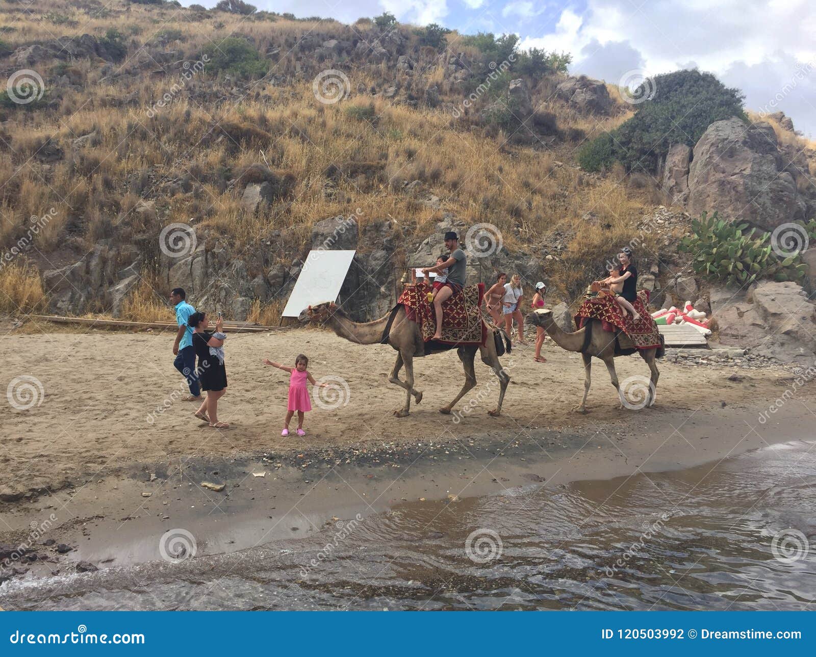 Camel Beach editorial photography. Image of muala, sand - 120503992