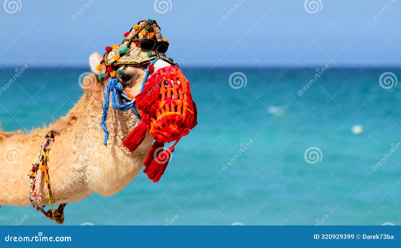 Camel on the Beach with Colorful Decorations and Sunglasses Stock Image ...
