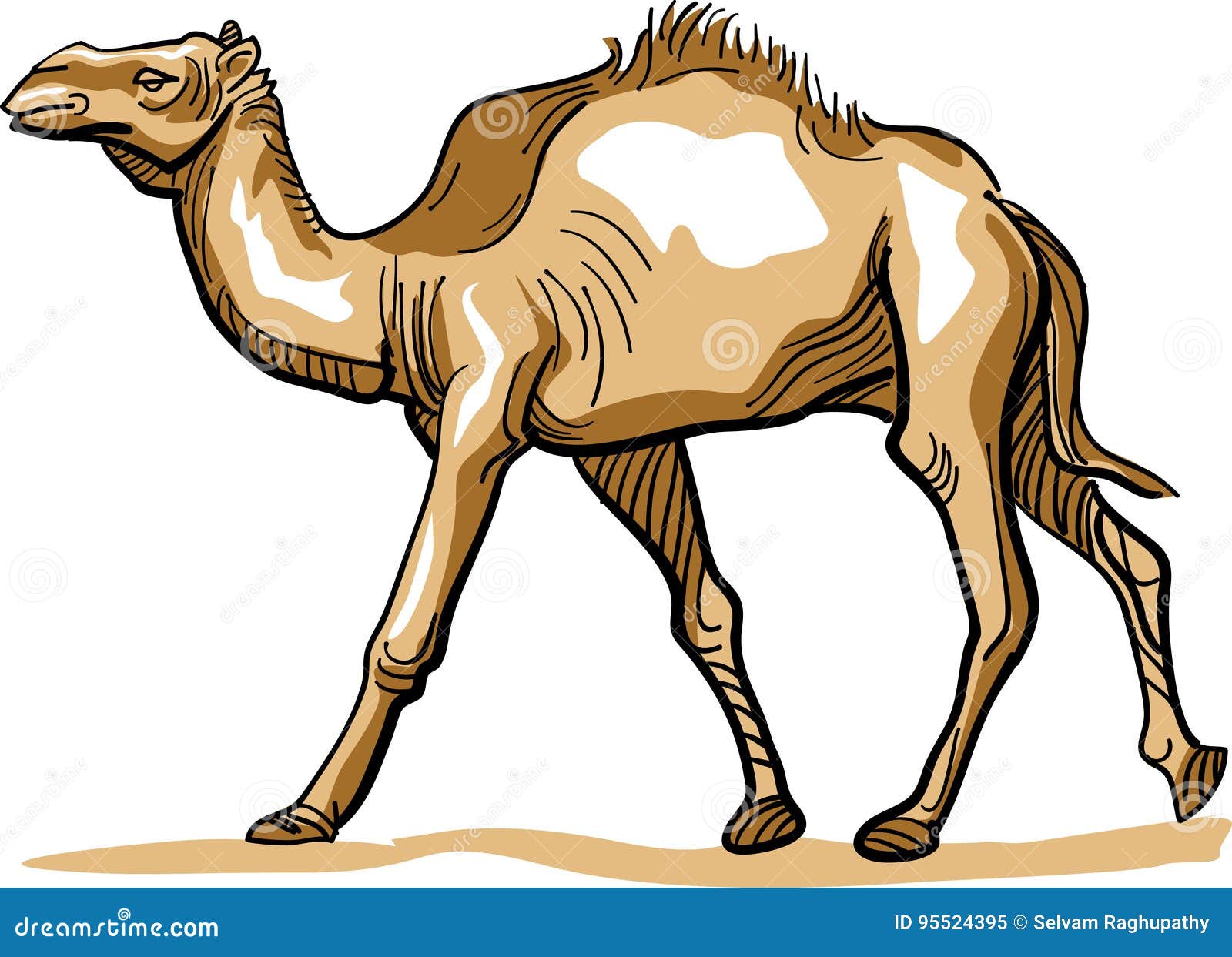 Camel Stock Illustrations – 16,687 Camel Stock Illustrations, Vectors ...