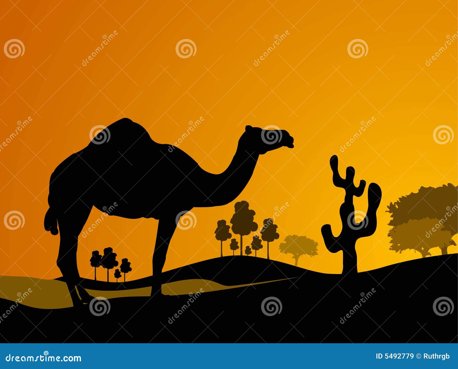 Camel and cactus stock illustration. Illustration of retro - 5492779