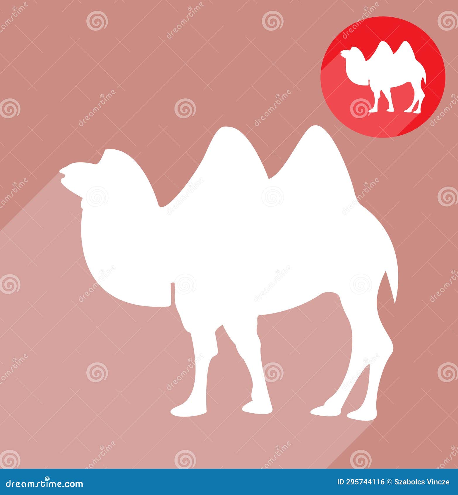Camel stock illustration. Illustration of black, animal - 295744116