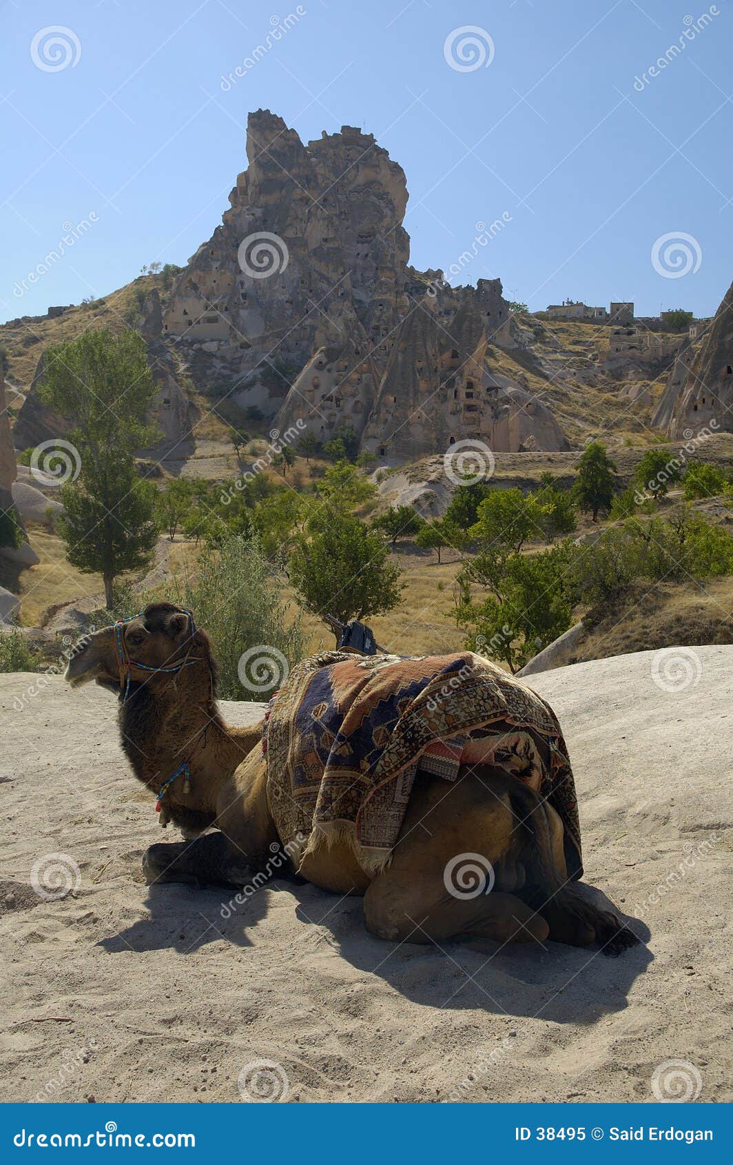 Camel in Cappadocia stock image. Image of goreme, building - 38495