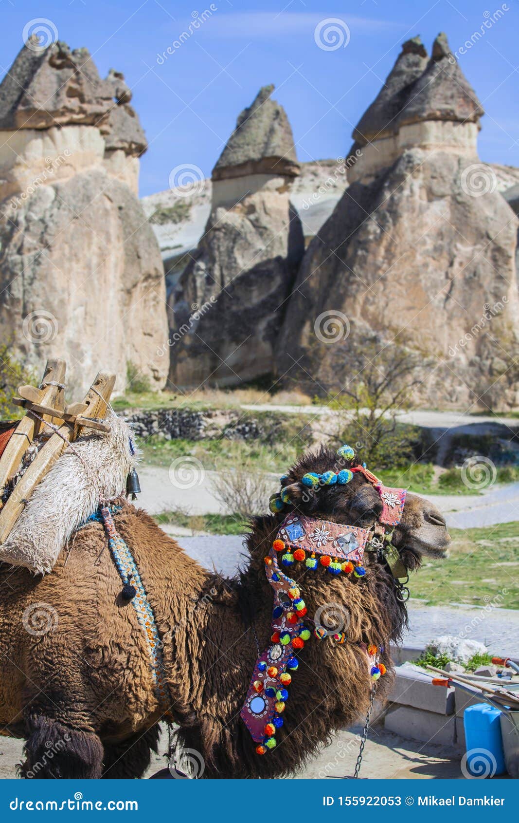 Camel in Cappadocia, Turkey Stock Image - Image of landscape, rock ...