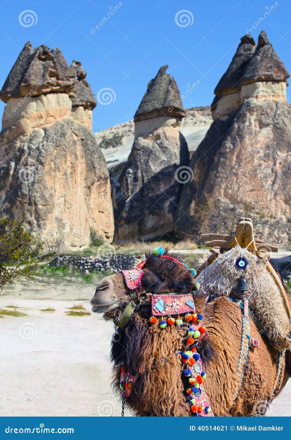 Camel in Cappadocia, Turkey Stock Image - Image of turkey, nature: 40514621