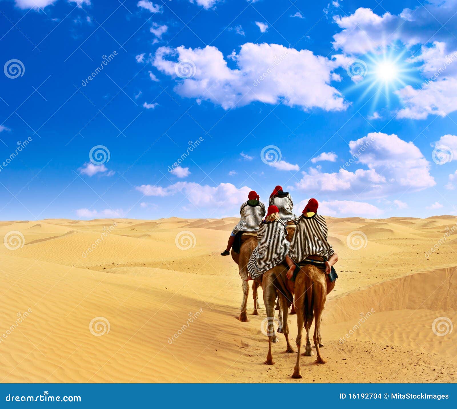 Camel caravan stock photo. Image of tourist, sunny, arabic - 16192704