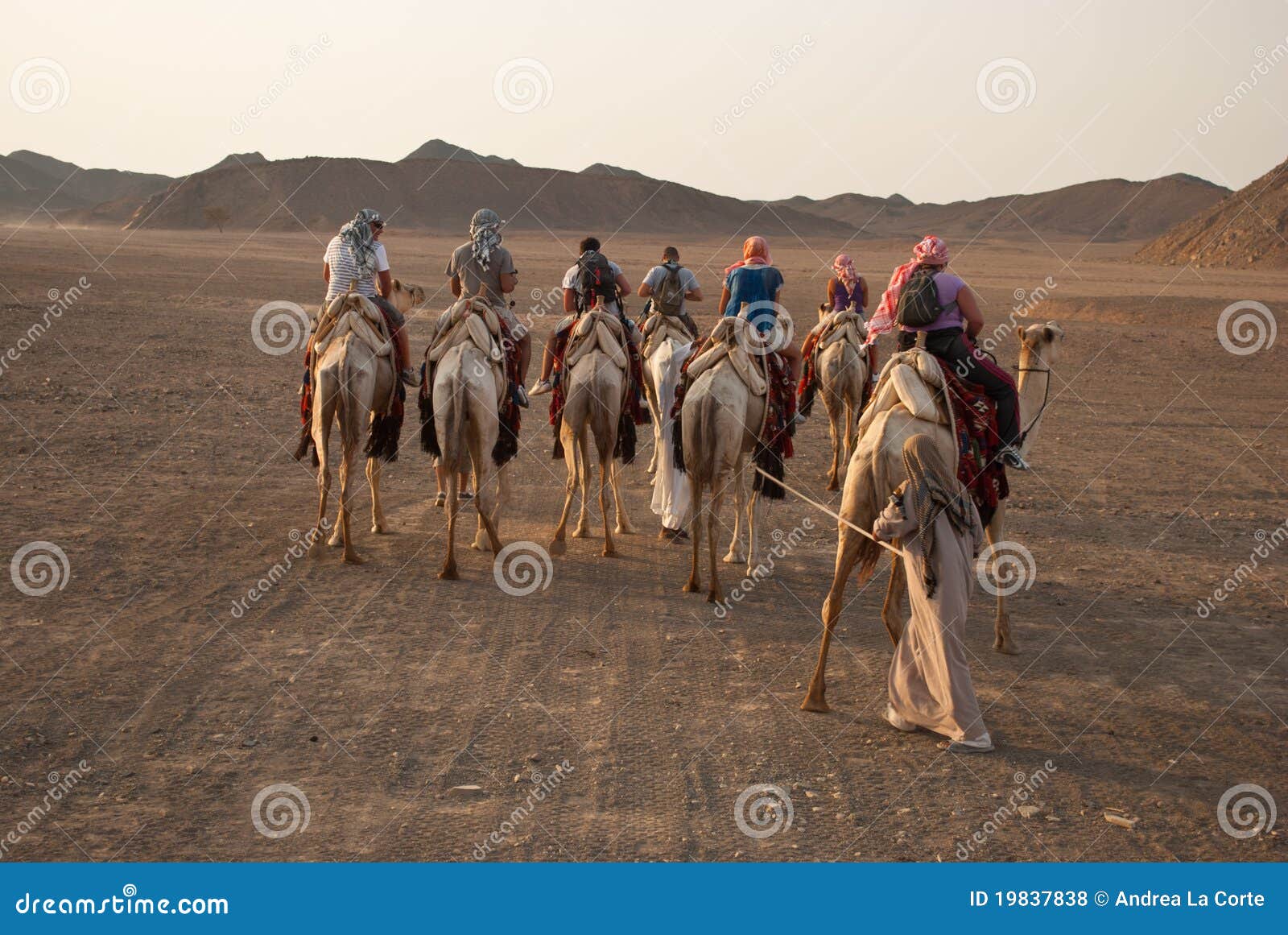 Camel caravan editorial stock photo. Image of natural - 19837838