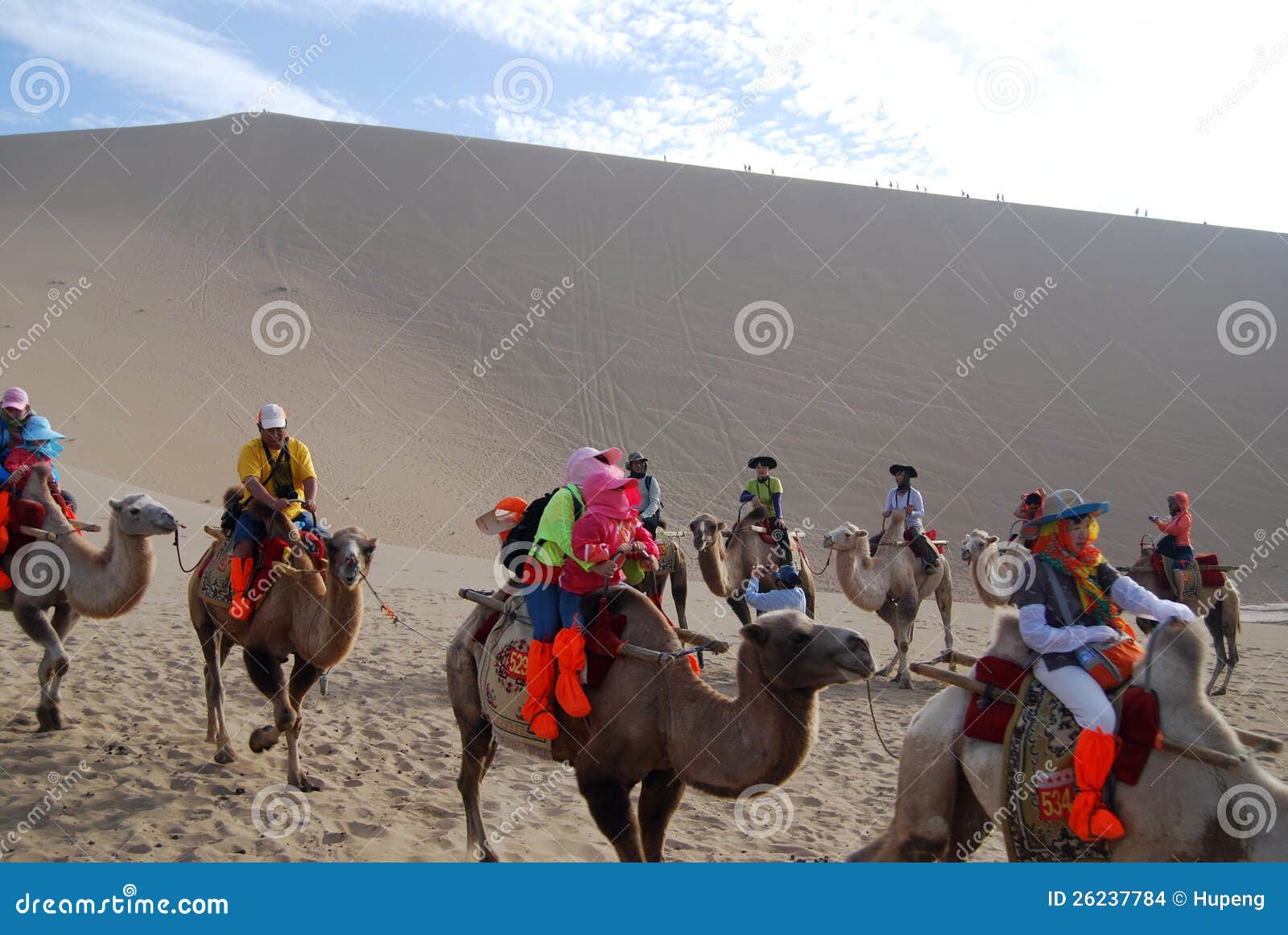 Camel Caravan in the Desert Editorial Stock Image - Image of adventure ...