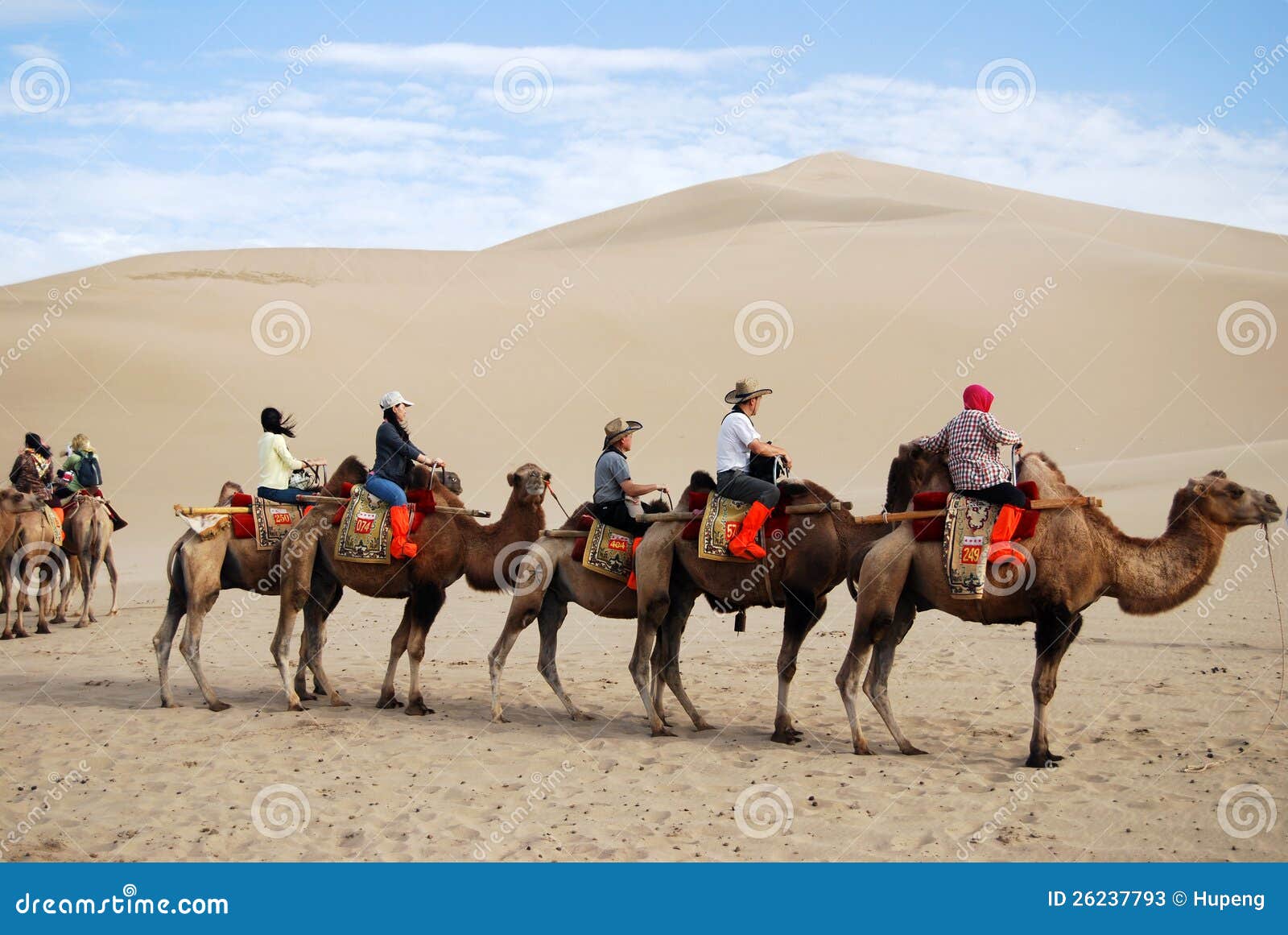 Camel Caravan in the Desert Editorial Stock Photo - Image of empty ...