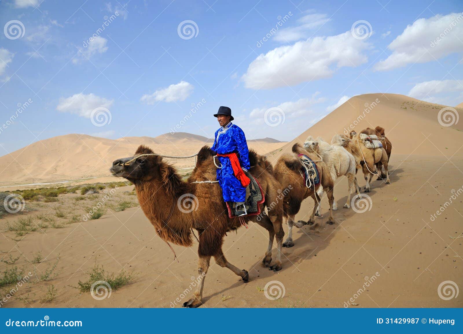 China Camel Caravans