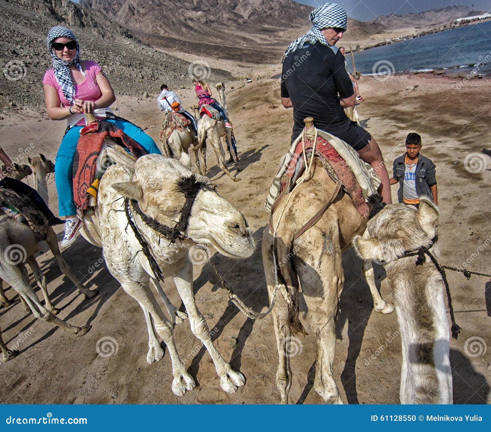 Camel Caravan editorial image. Image of sahara, adventure - 61128550