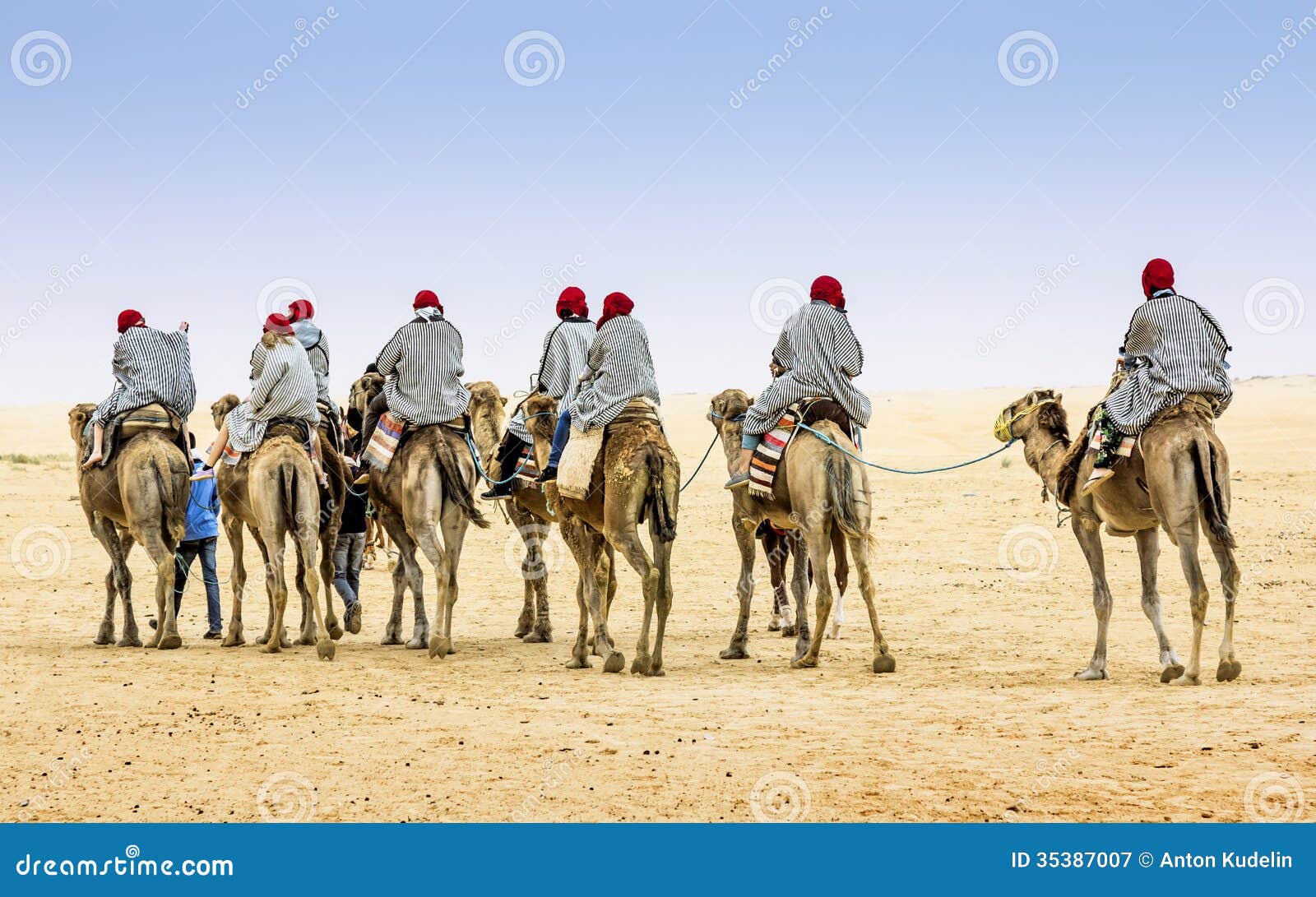 Camel Caravan in the Sahara Desert,Africa Stock Image - Image of dunes ...
