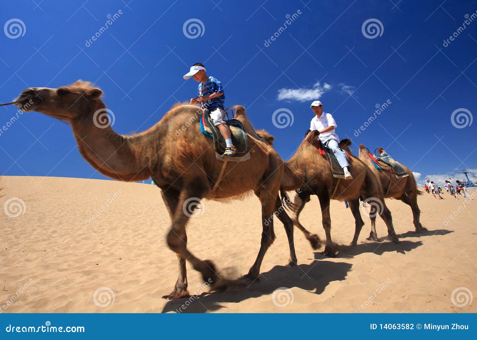 Camel Caravan in the Sha River Desert Editorial Photography - Image of ...