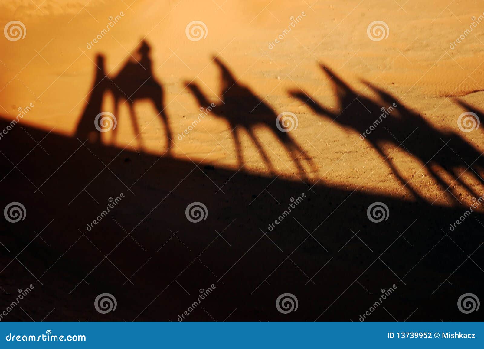 Camel caravan shadows stock photo. Image of nature, bedouin - 13739952