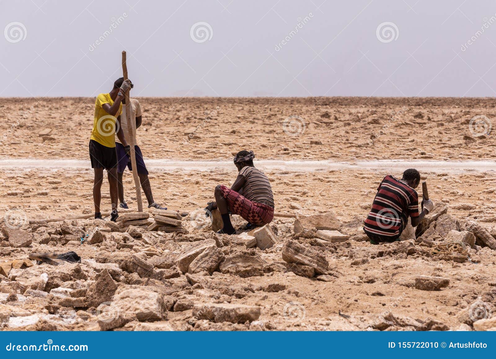 Camel Caravan and Afar Mining Salt in Danakil Depression, Ethiopia ...
