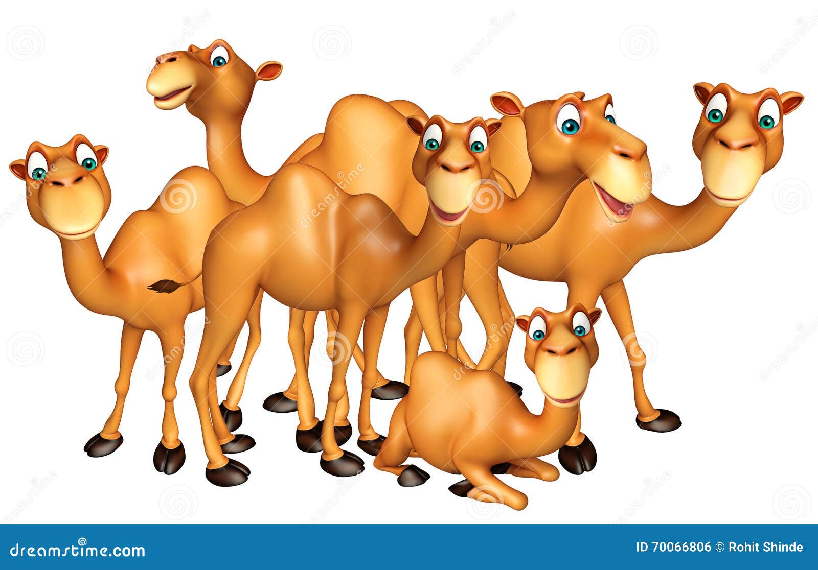 Camel collection stock illustration. Illustration of animals - 70066806