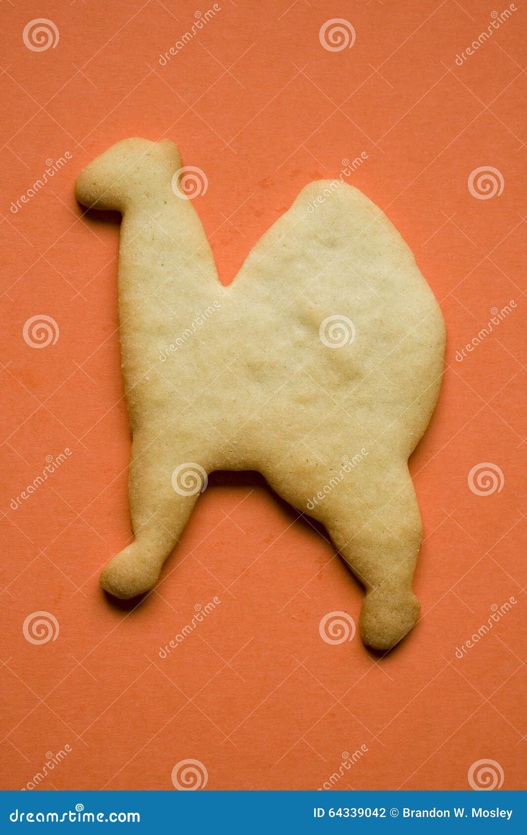 Camel Cookie Against Orange Background Stock Photos - Free & Royalty ...