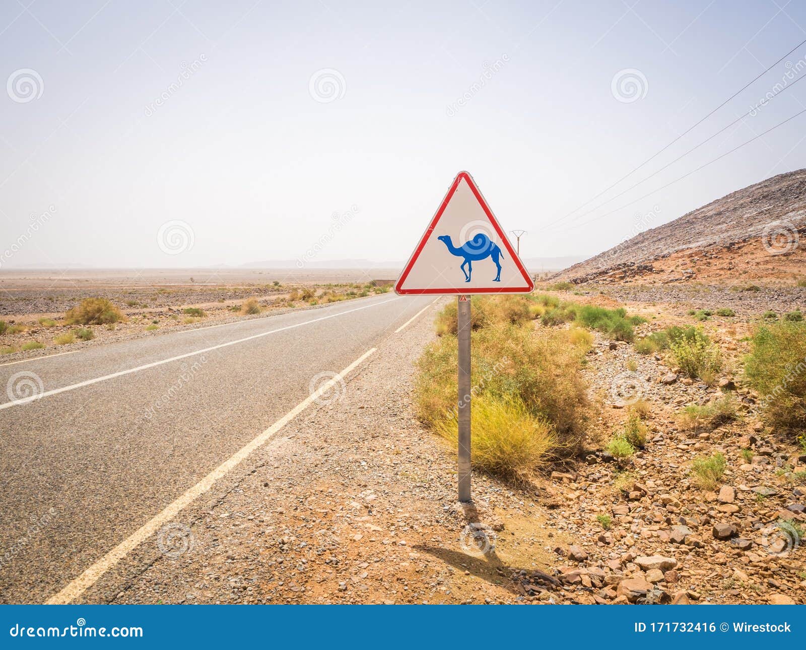 Camel Crossing Road Sign on the Road during the Daytime Stock Photo ...