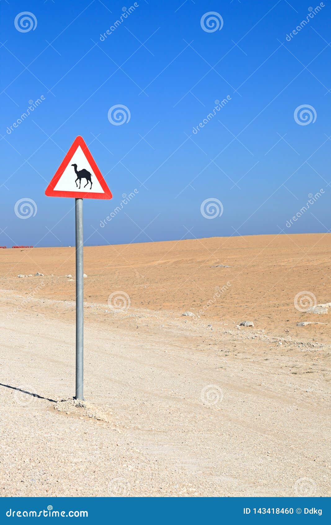 Camel Crossing Sign stock photo. Image of transport - 143418460