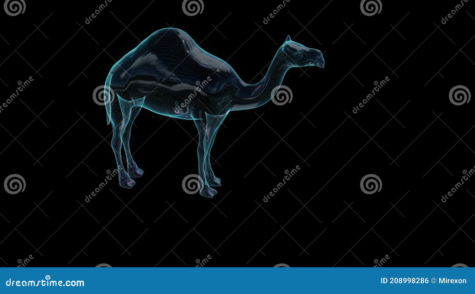 Camel 3d Model. Animal in Motion and Points Connected To Form Stock ...