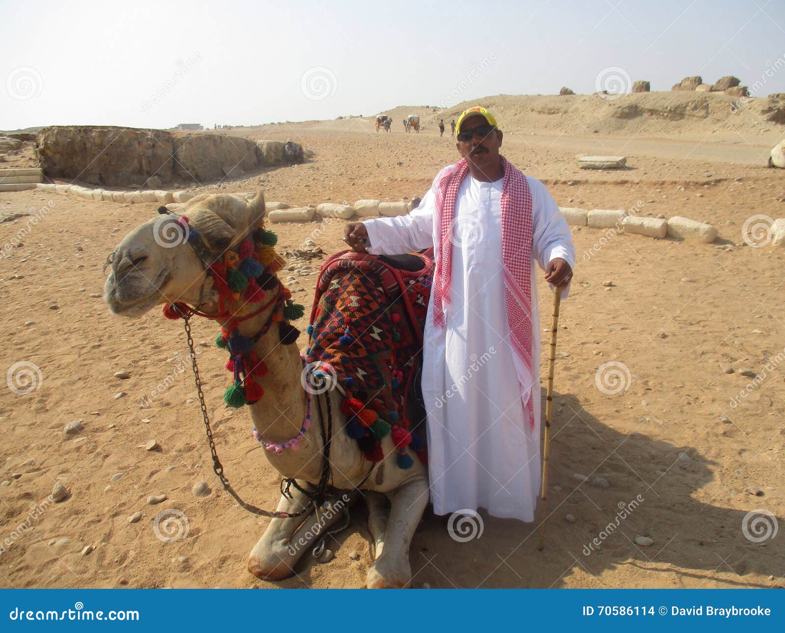 Camel Driver at Giza Pyramids Editorial Stock Image - Image of ride ...