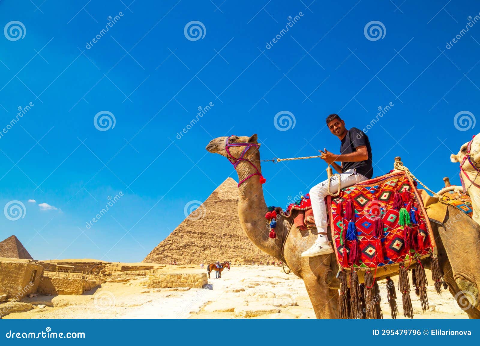 Camel Driver Near the Great Pyramids of Egypt Editorial Photo - Image ...