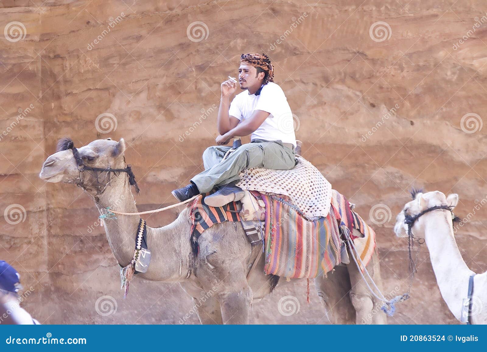 Camel Driver Smoking editorial stock image. Image of bridle - 20863524