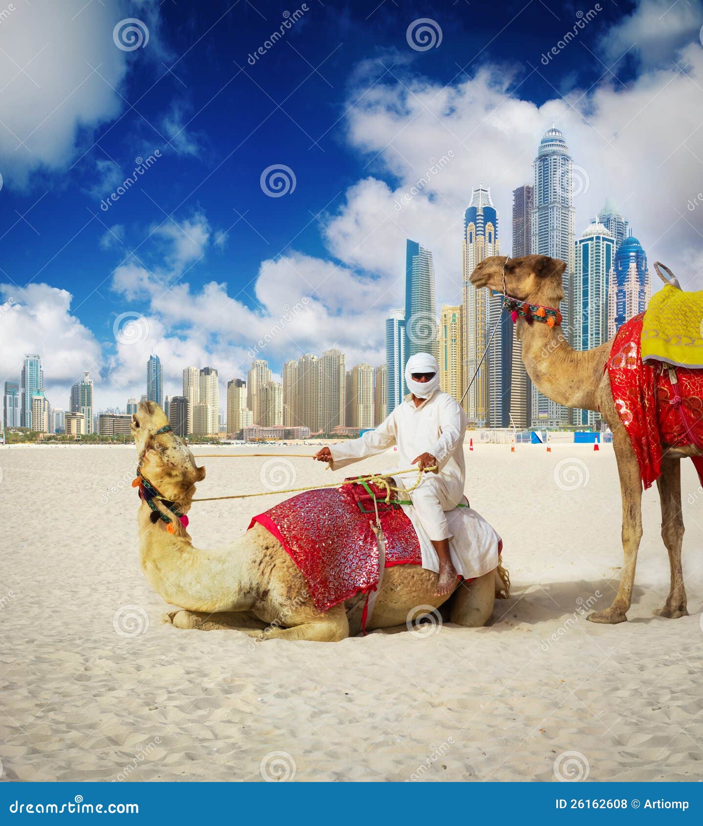 Camel on Dubai Beach stock photo. Image of emirates, city - 26162608