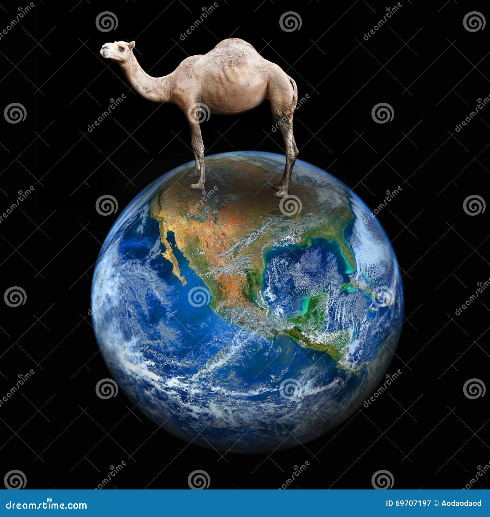 Planet Earth Camel