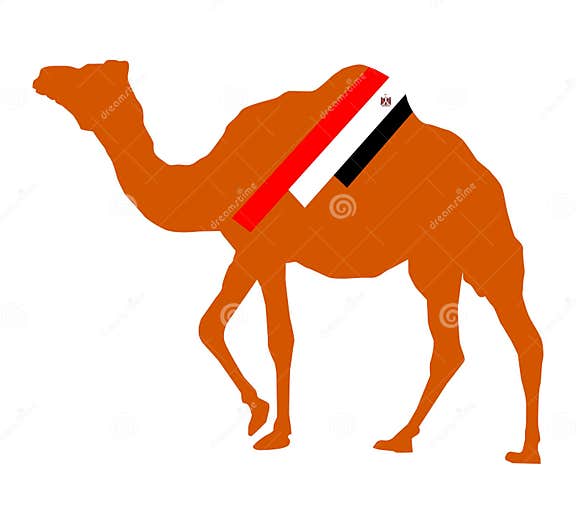 Camel and Egyptian Flag Illustration Stock Illustration - Illustration ...