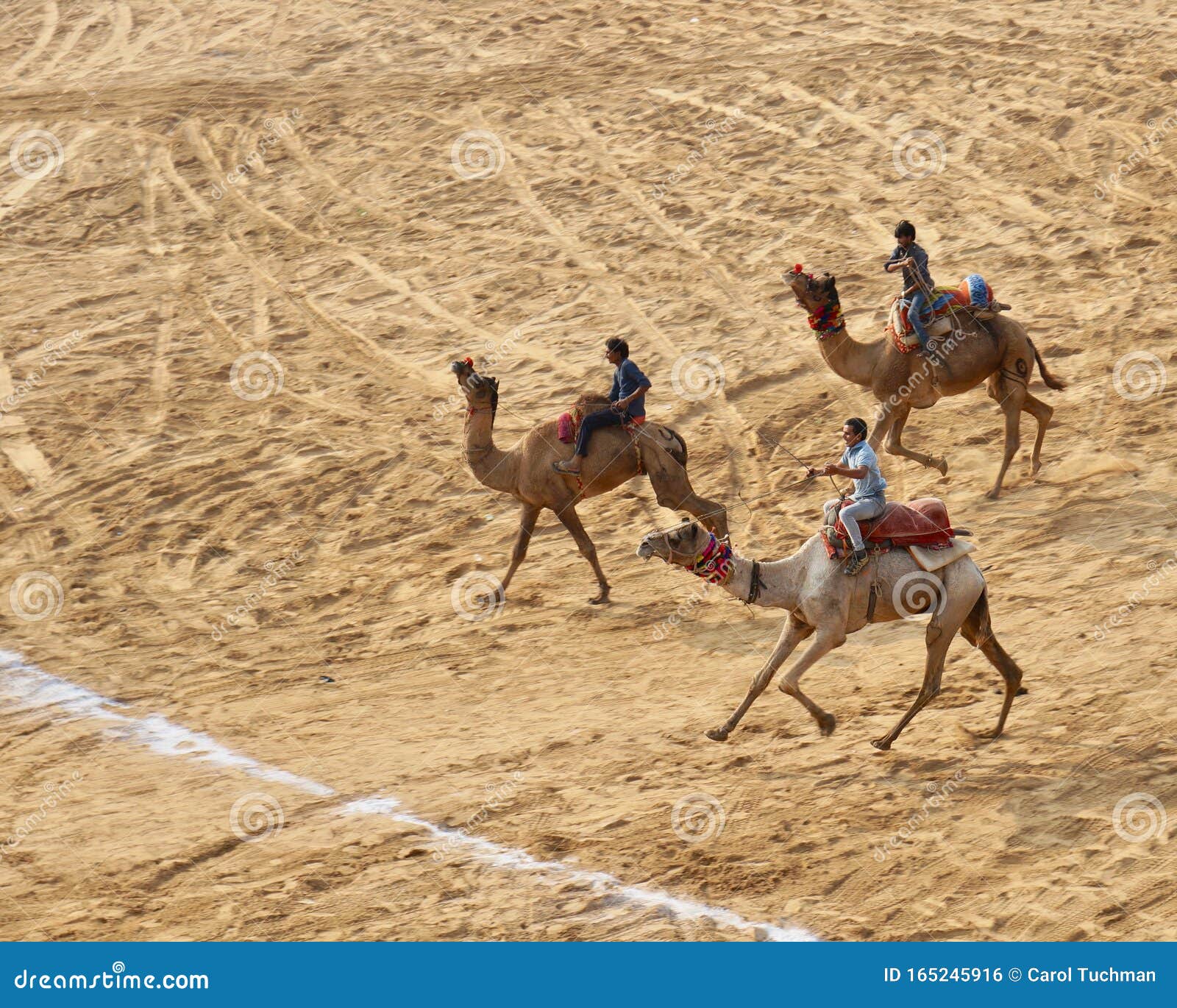 CAMEL FAIR RACES INDIA 2019 Editorial Photo - Image of beautiful ...