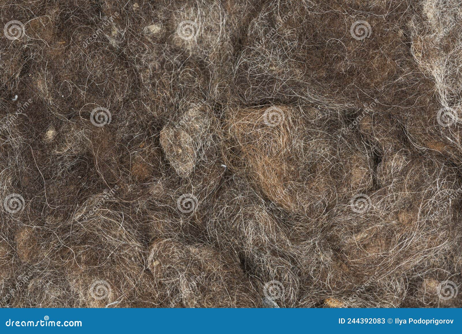 Camel Felted Wool Background Texture Stock Image - Image of material ...