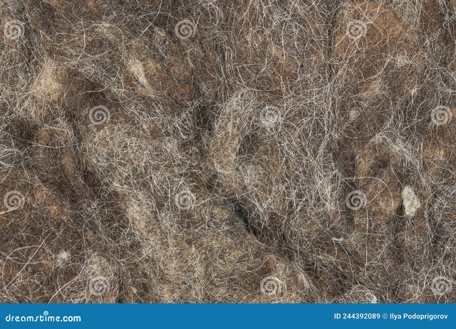 Camel Felted Wool Background Texture Stock Image - Image of macro ...