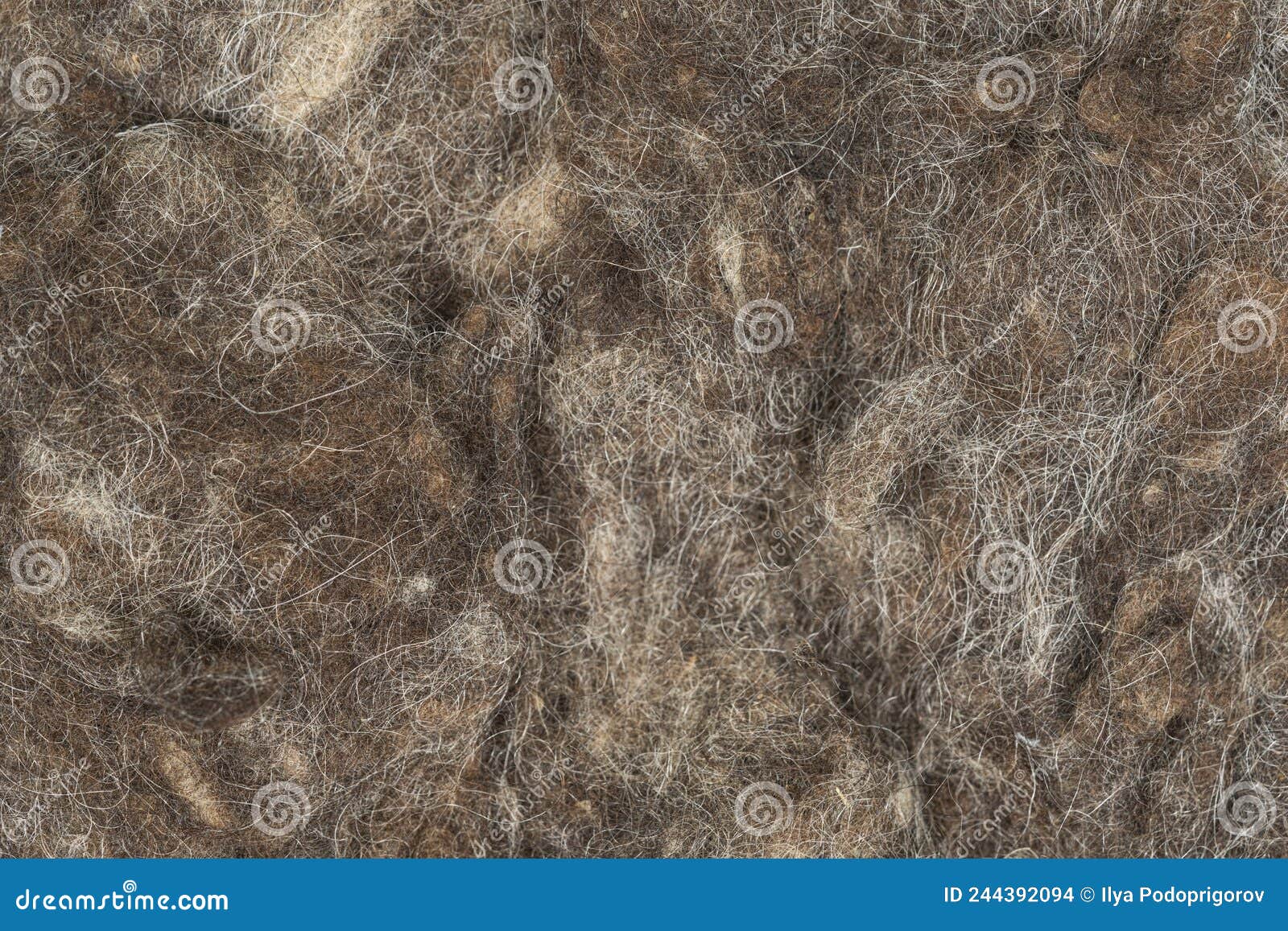 Camel Felted Wool Background Texture Stock Photo - Image of felt ...