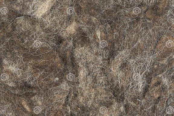 Camel Felted Wool Background Texture Stock Photo - Image of felt ...
