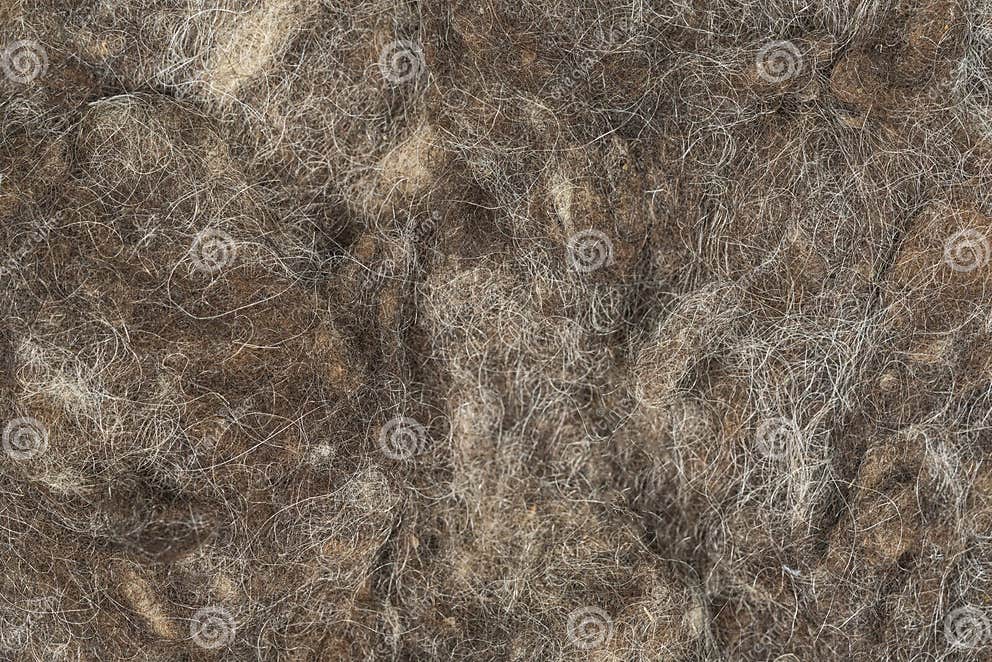 Camel Felted Wool Background Texture Stock Photo - Image of felt ...
