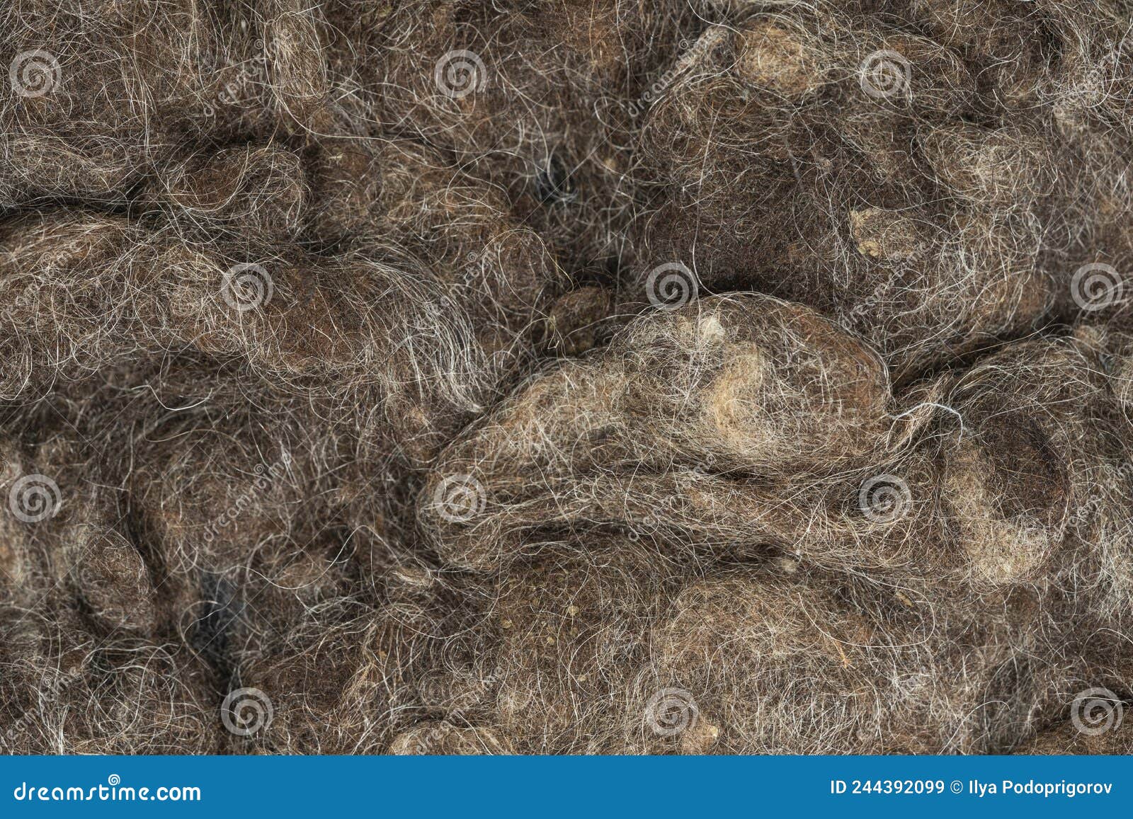 Camel Felted Wool Background Texture Stock Image - Image of fiber ...