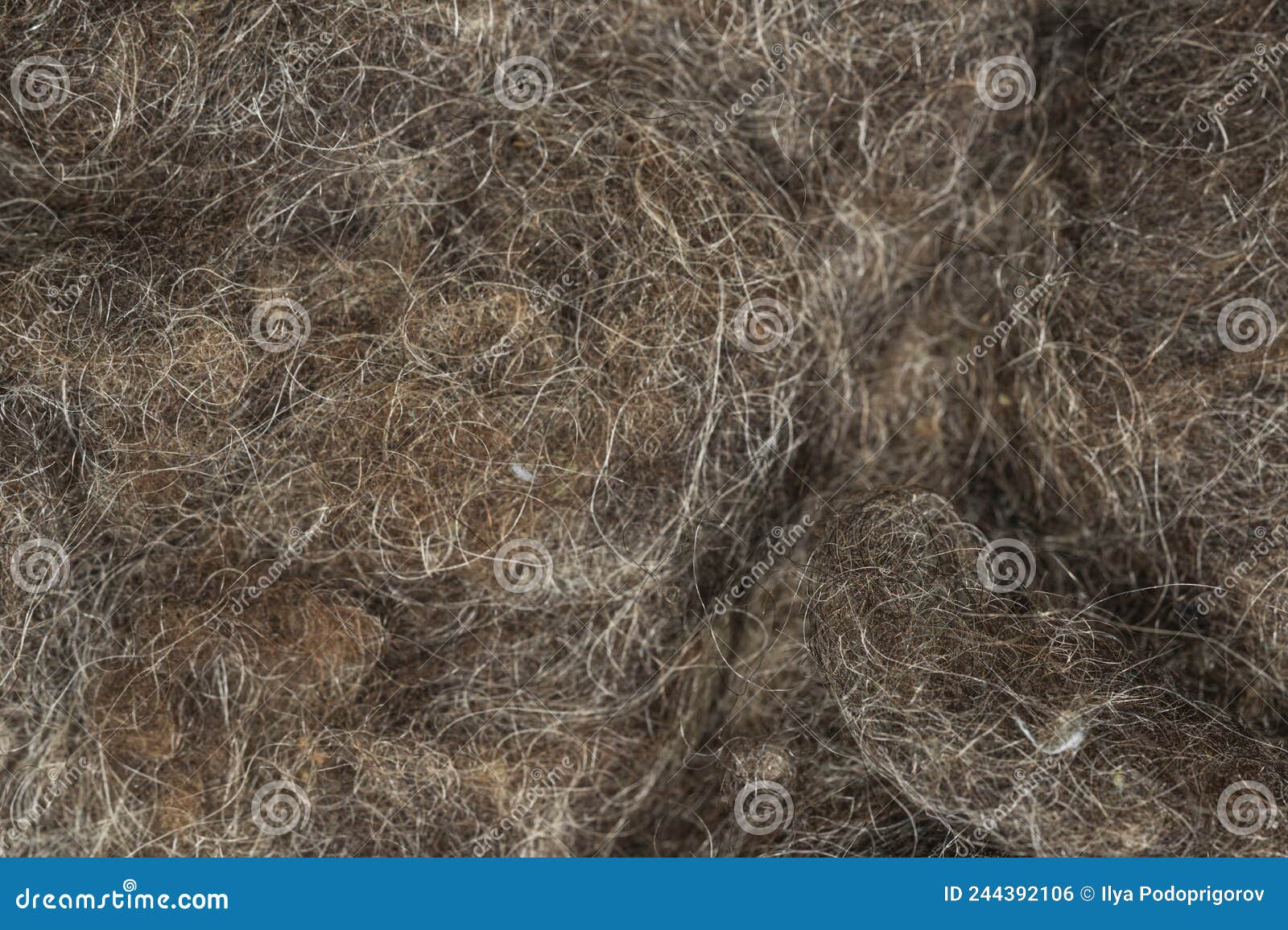 Camel Felted Wool Background Texture Stock Photo - Image of fabric ...