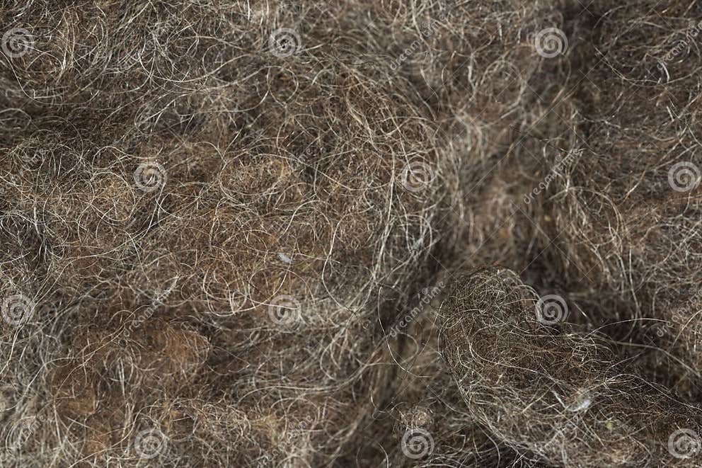 Camel Felted Wool Background Texture Stock Photo - Image of fabric ...