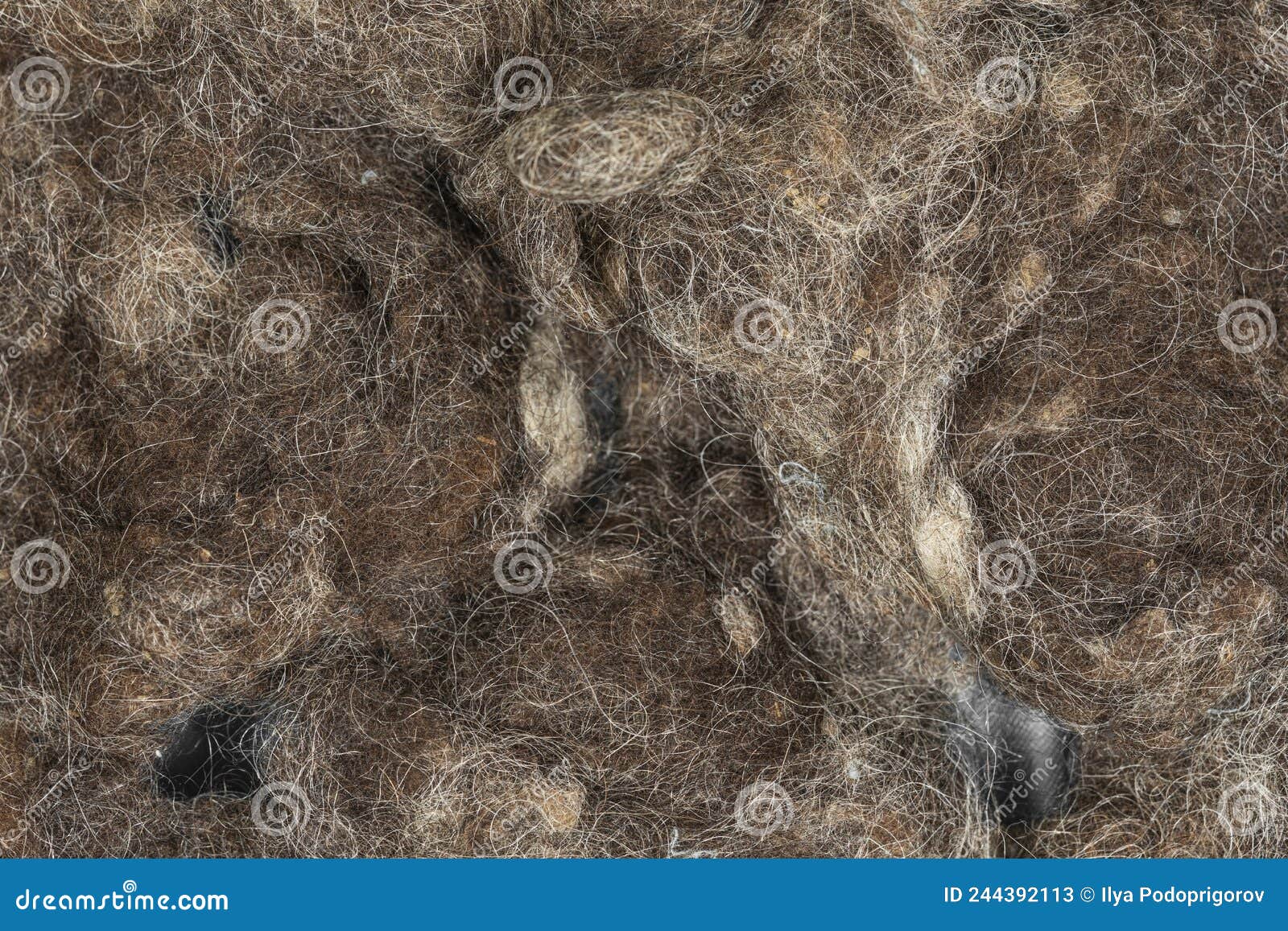 Camel Felted Wool Background Texture Stock Image - Image of felt, blank ...