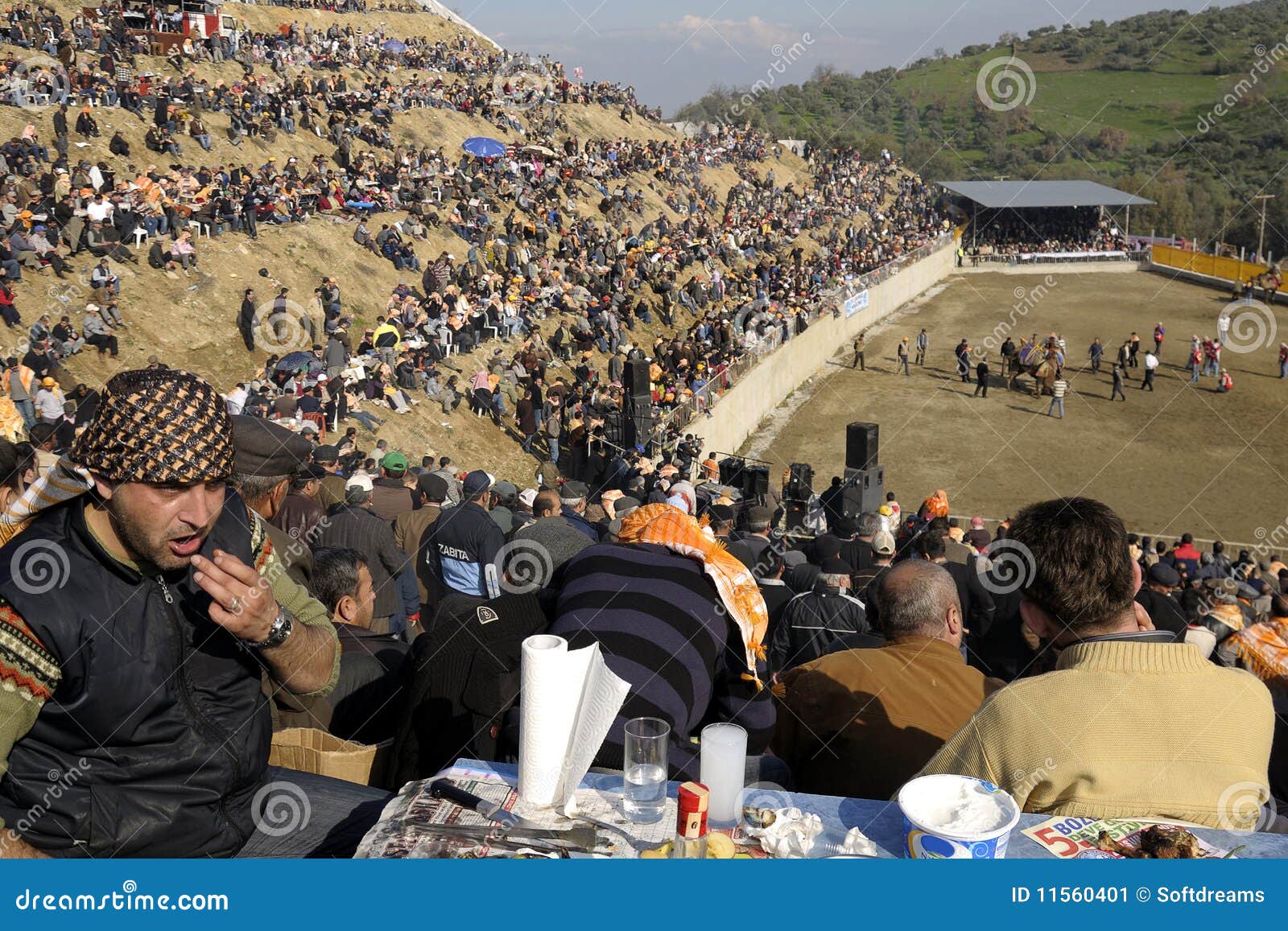 Camel fight editorial photo. Image of wrestling, oriental - 11560401