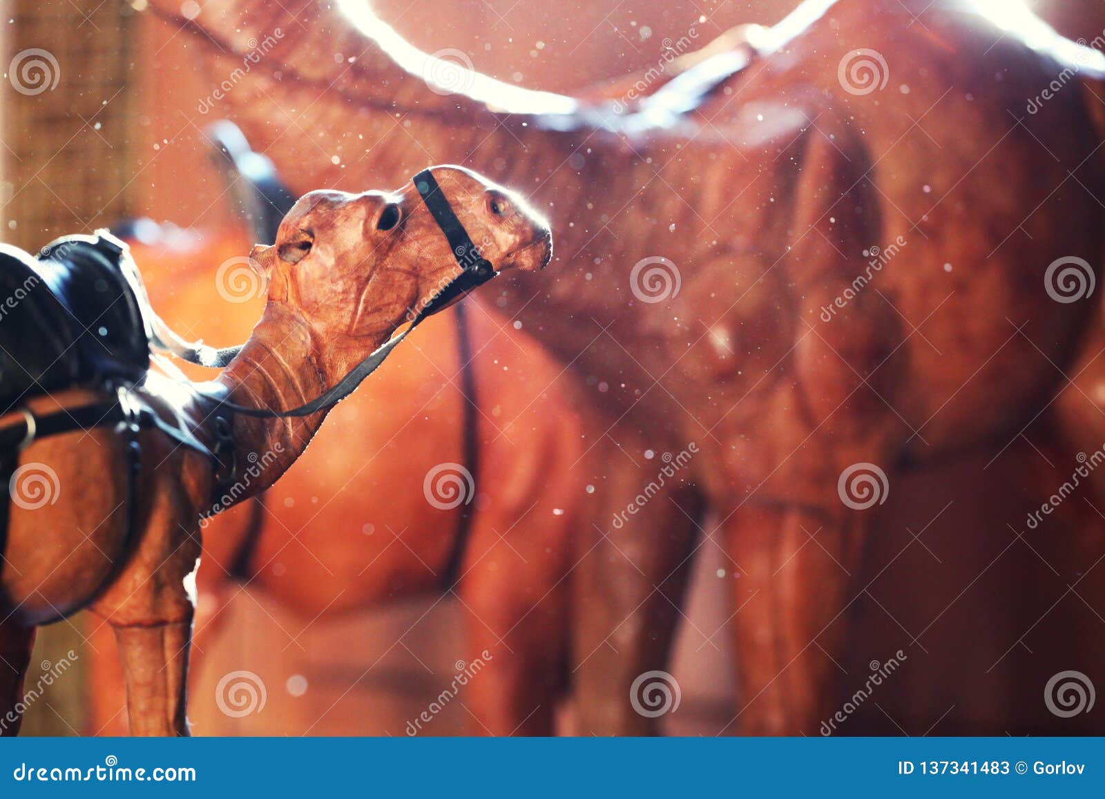 Camel Figure Dust Background Stock Image - Image of egypt, dust: 137341483