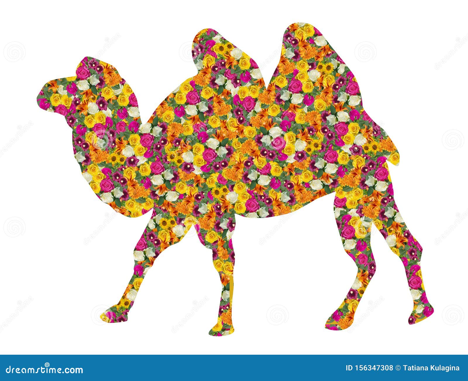 Camel with flowers. stock photo. Image of animal, camel - 156347308