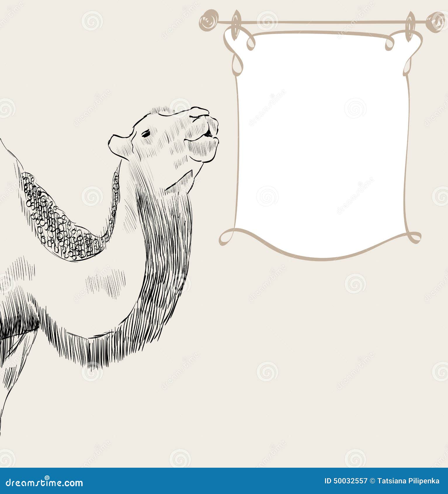 Camel and frame stock vector. Illustration of drawn, neck - 50032557