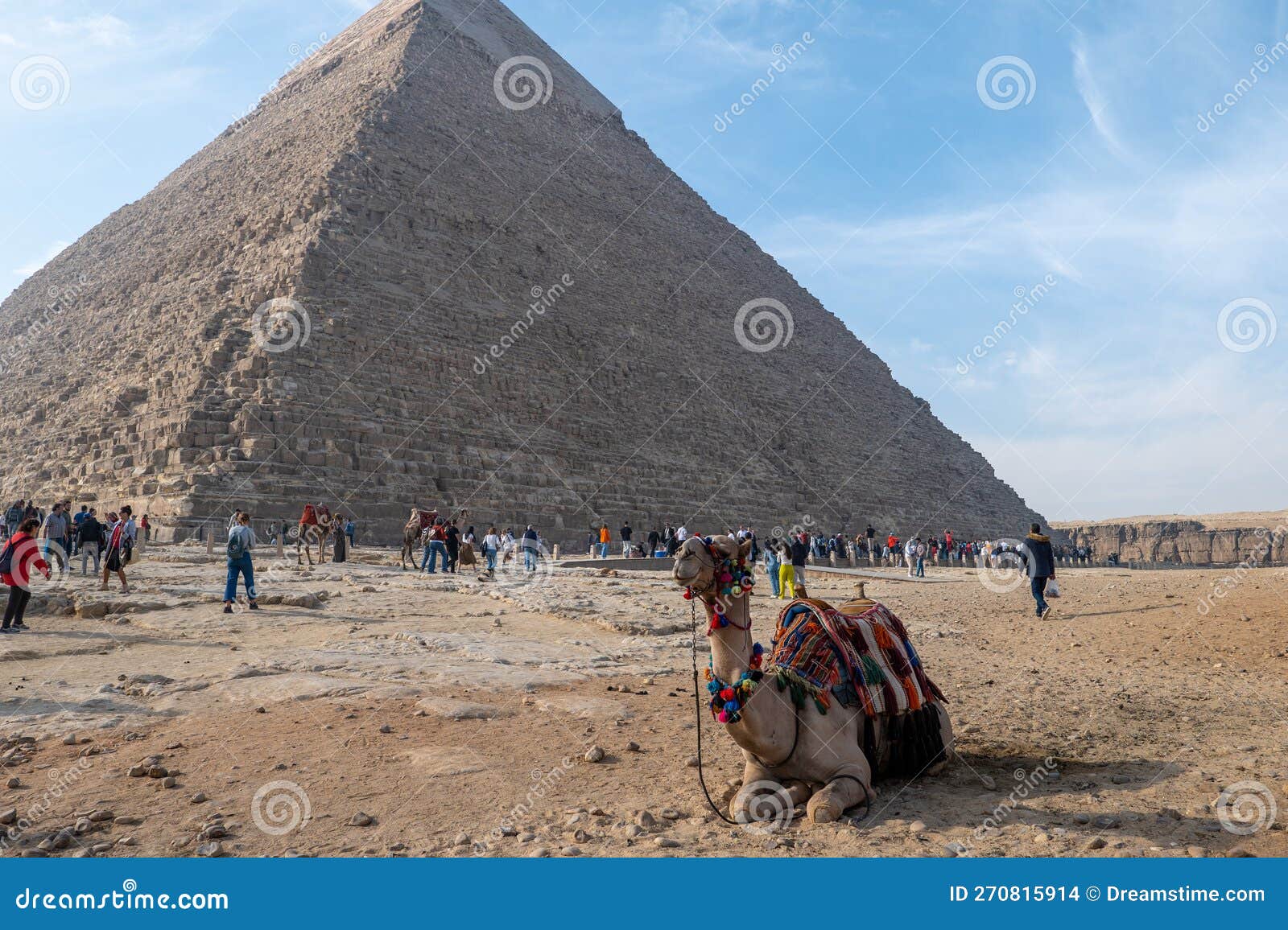 Camel in Front of Great Pyramid of Giza Editorial Stock Image - Image ...