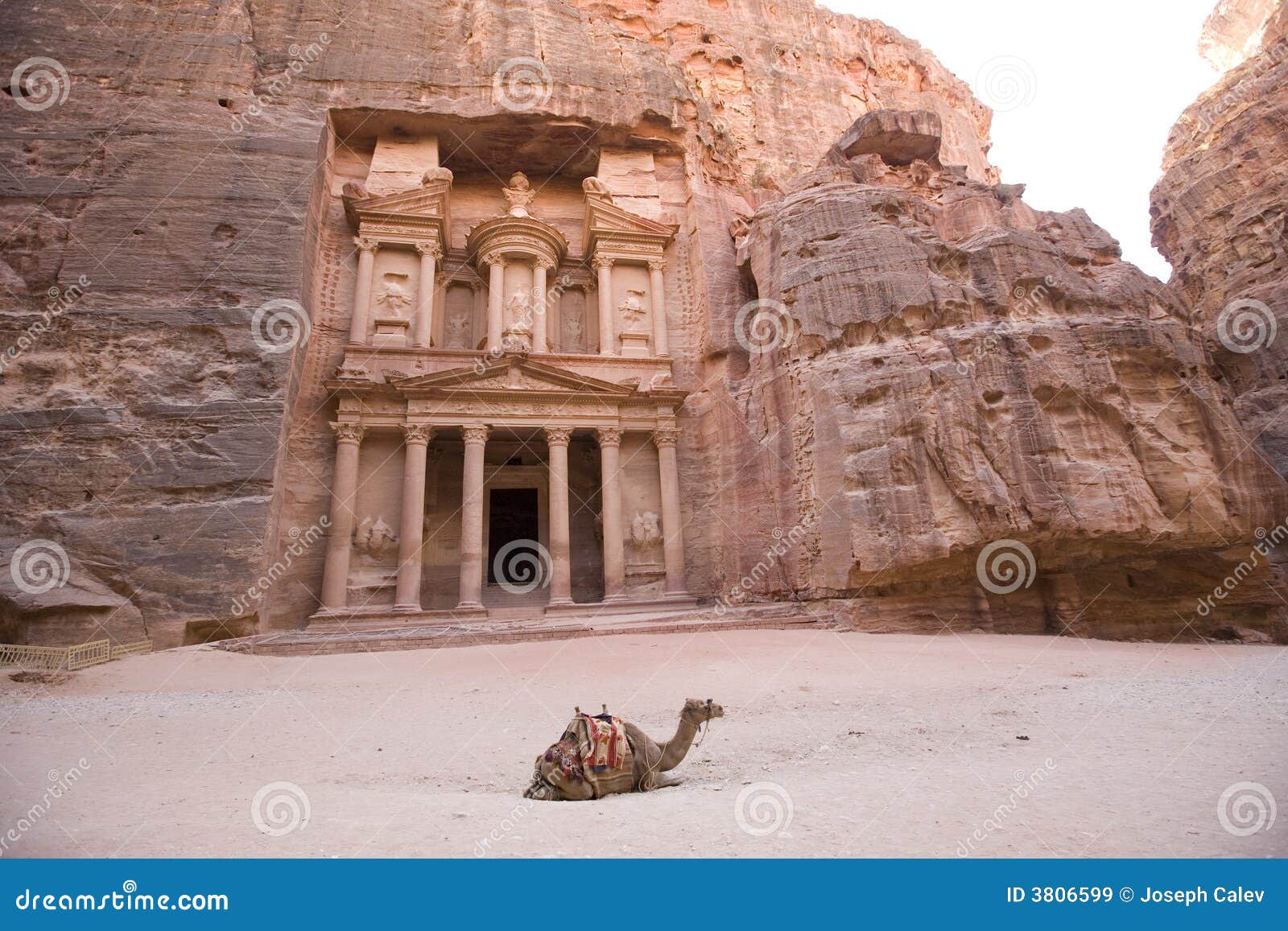 Camel in Front of Treasury Petra Jordan Stock Image - Image of ...