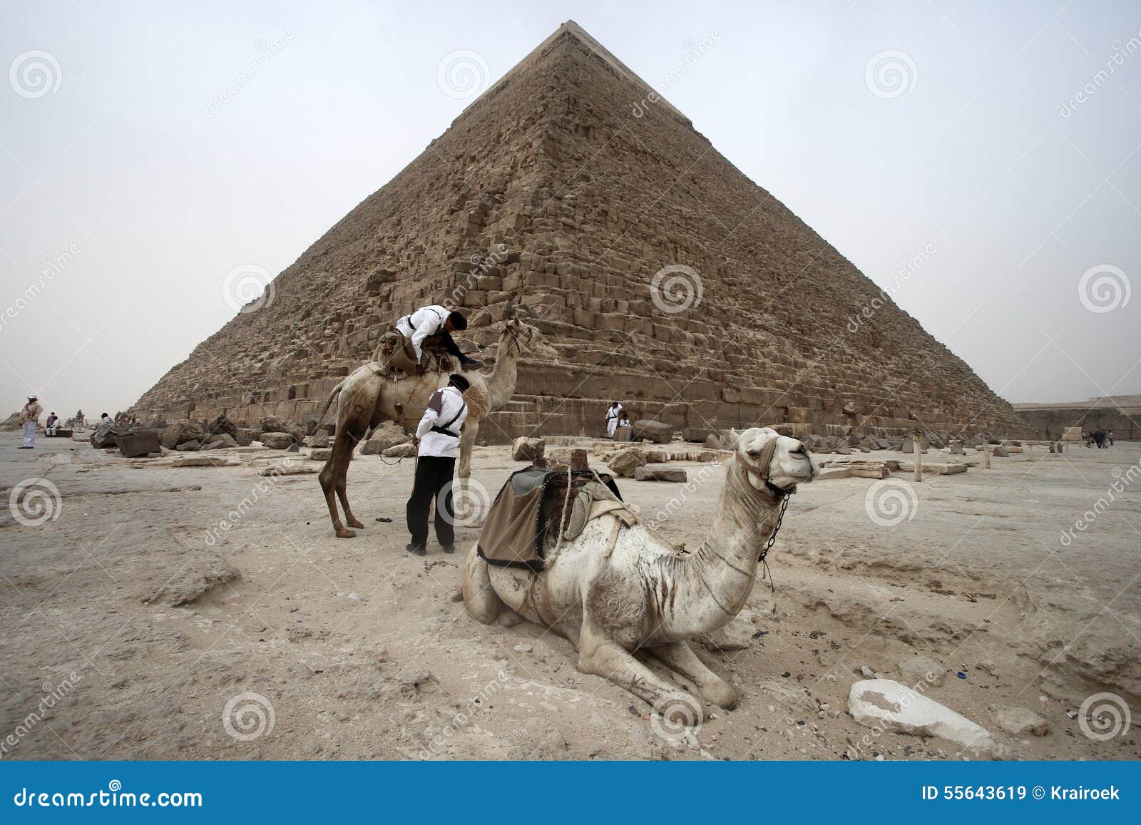 Camel And Great Pyramids Of Giza, Cairo, Egypt Editorial Photo ...