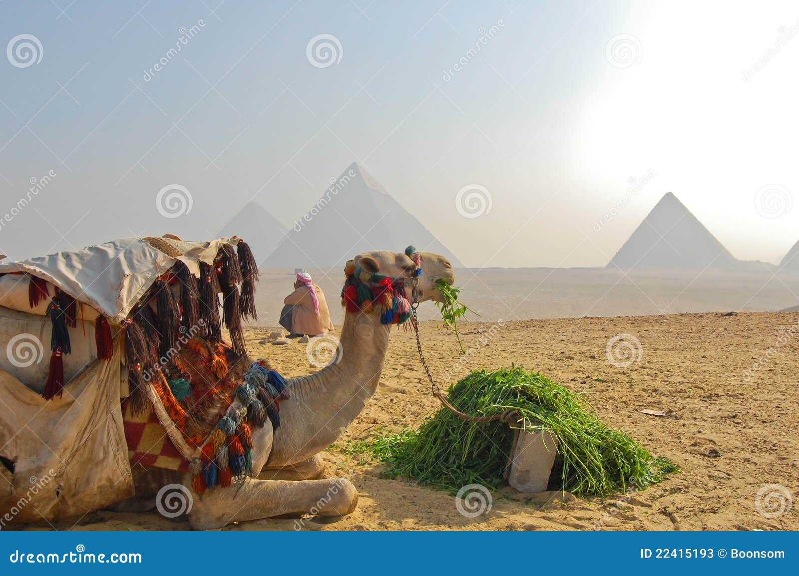 Camel at Great Pyramid of Giza Stock Image - Image of necropolis ...